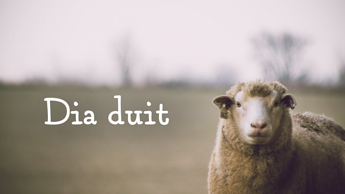 アイルランド語｜「乾杯」から「ありがとう」までの単語帳 | たびわログ